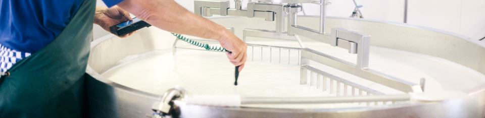 Professional Cheese Making | Full-time | Ontario College Certificate