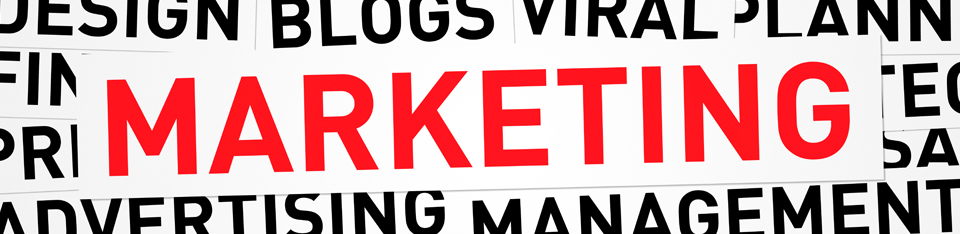 Business Administration - Marketing (Co-op) Program & Courses ...